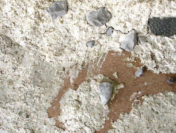 Moulded A-scene plaster with particles: Woodland material, Non-scale C ...